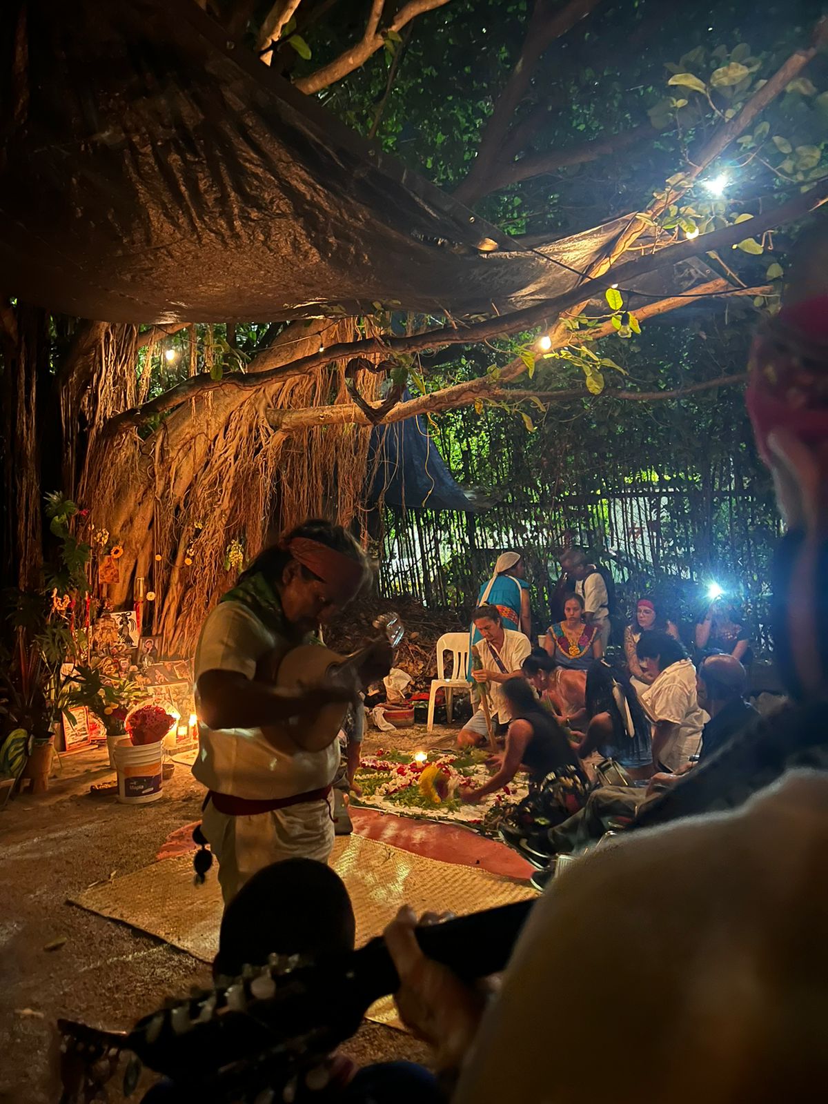 Cocreamos: An Urban Sanctuary for Healing - Imagine-Mexico.com