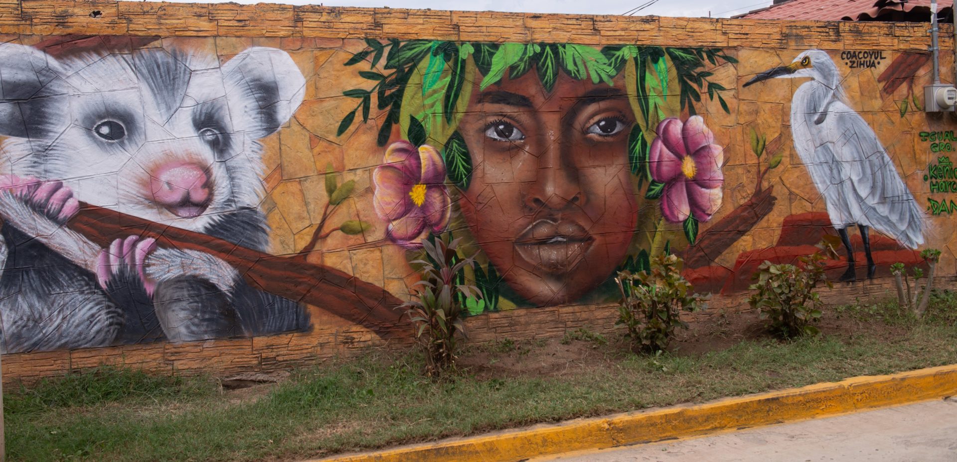 Urban Art for Biodiversity – The Mural Project